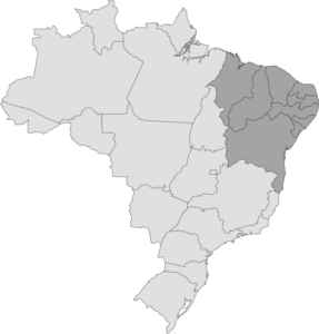 Rede de Distribuição – ABEDA